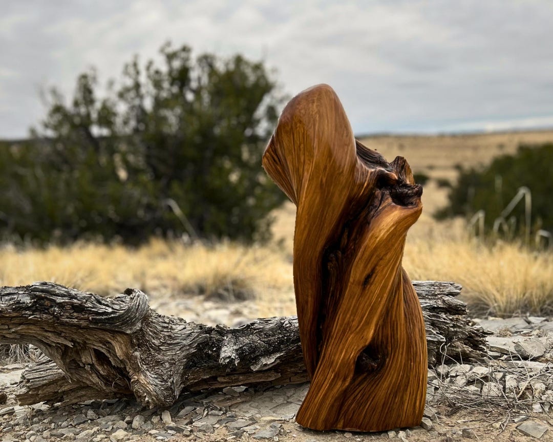 Escultura de madera de enebro – Forma de arte del desierto con bordes ...
