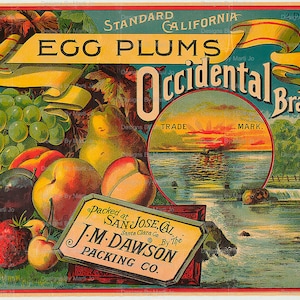 Vintage Food Labels Kit 3 | 50 Digital Antique Food Labels JPG Files ...