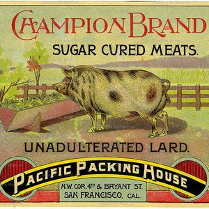 Vintage Food Labels Kit 3 | 50 Digital Antique Food Labels JPG Files ...