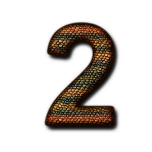 Colored Lizard / Snake Skin Letters Transparent PNG | Printable Letters ...