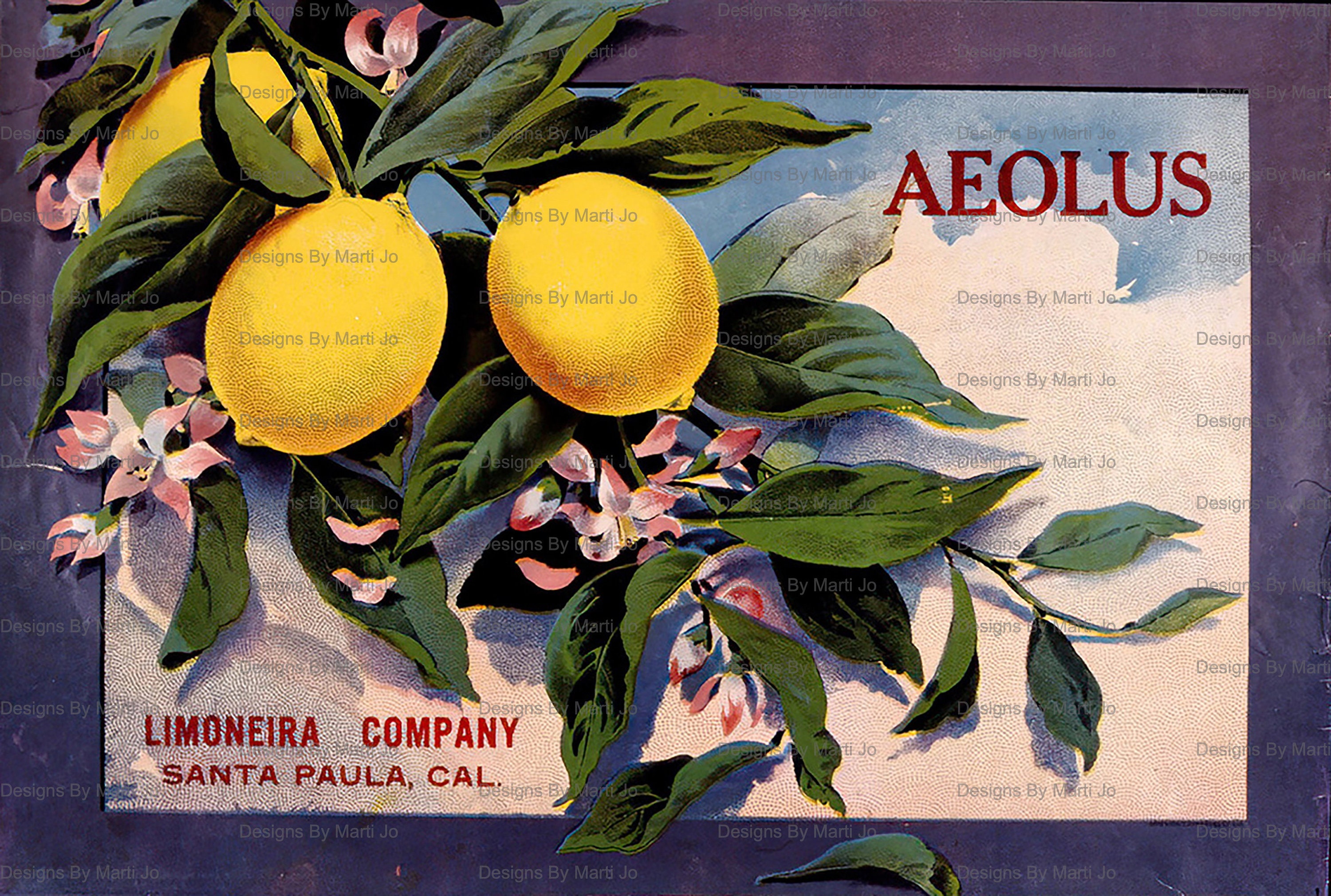 Old Citrus Crate Labels Kit 1 | 50 Printable Vintage Fruit Label Jpgs ...