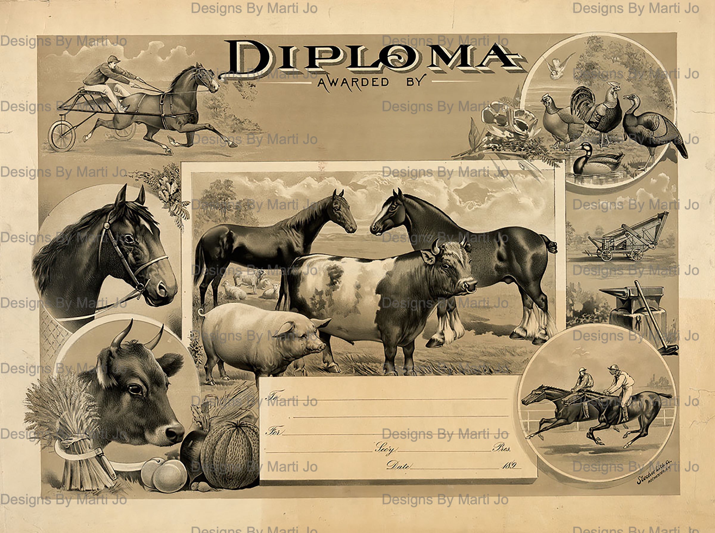 12 Vintage Diplomas Antique Diploma Certificates Instant - Etsy