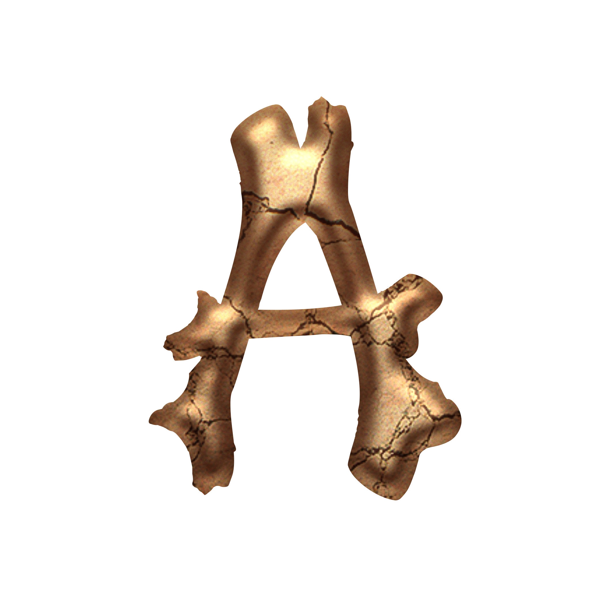 Bone Letters Digital Clipart Printable Bone Alphabet - Etsy Canada