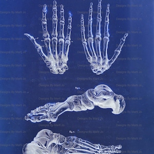 Vintage Anatomy Blueprint Drawings | 15 Vintage Printable Retro ...