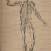 Vintage Anatomy Drawings Set 2 | 25 Vintage Human Anatomical Prints JPG ...