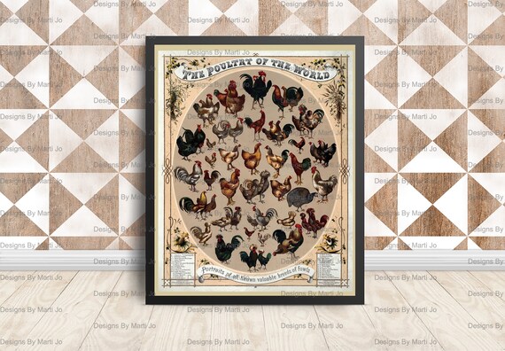 Vintage Chicken Poster Chicken Decor Chicken Gifts Chicken Art - Etsy