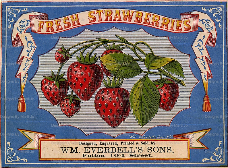 Vintage Food Labels Kit 85 Digital Antique 1890's Food - Etsy