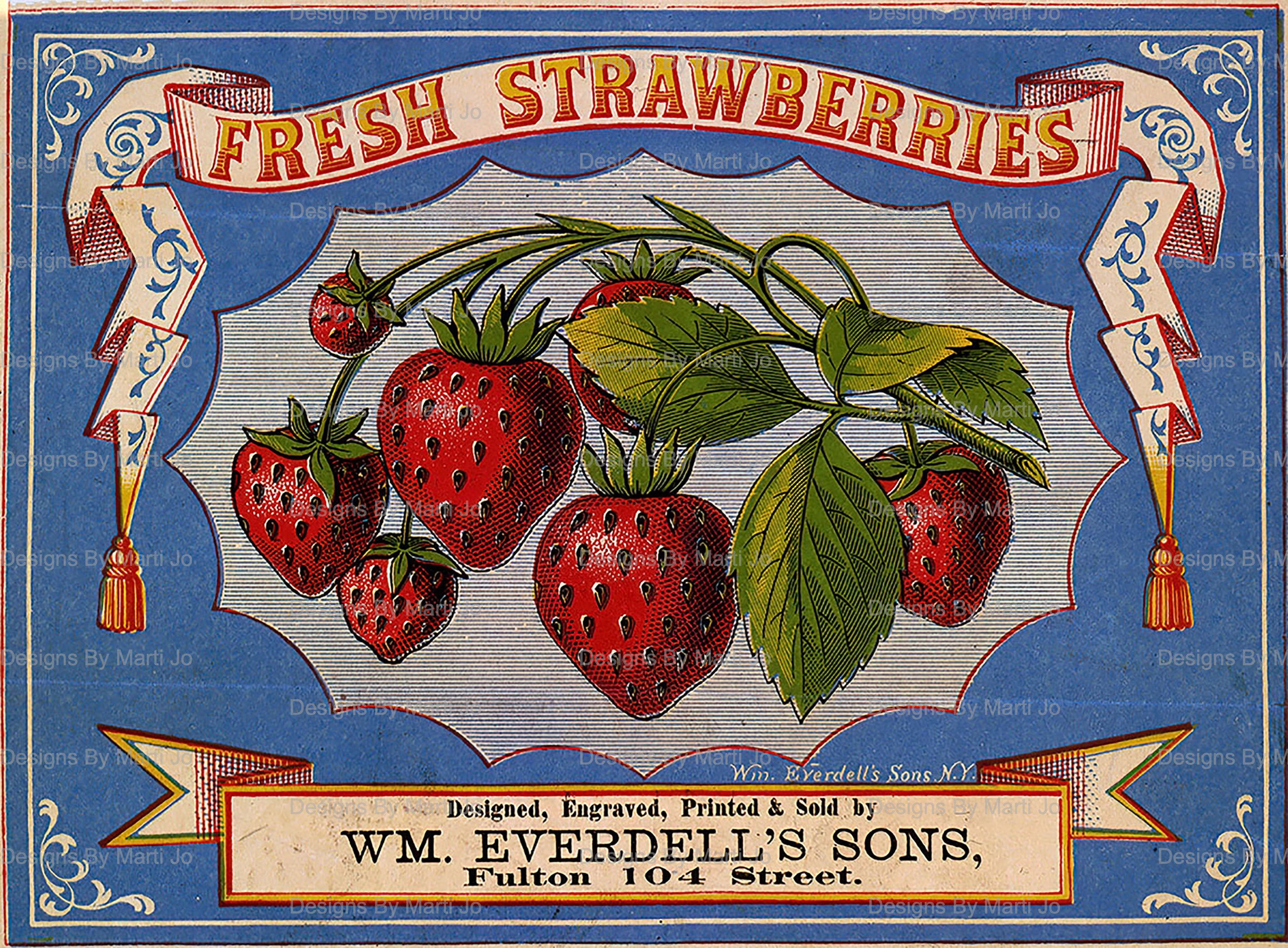 Vintage Food Labels Kit 85 Digital Antique 1890's Food - Etsy