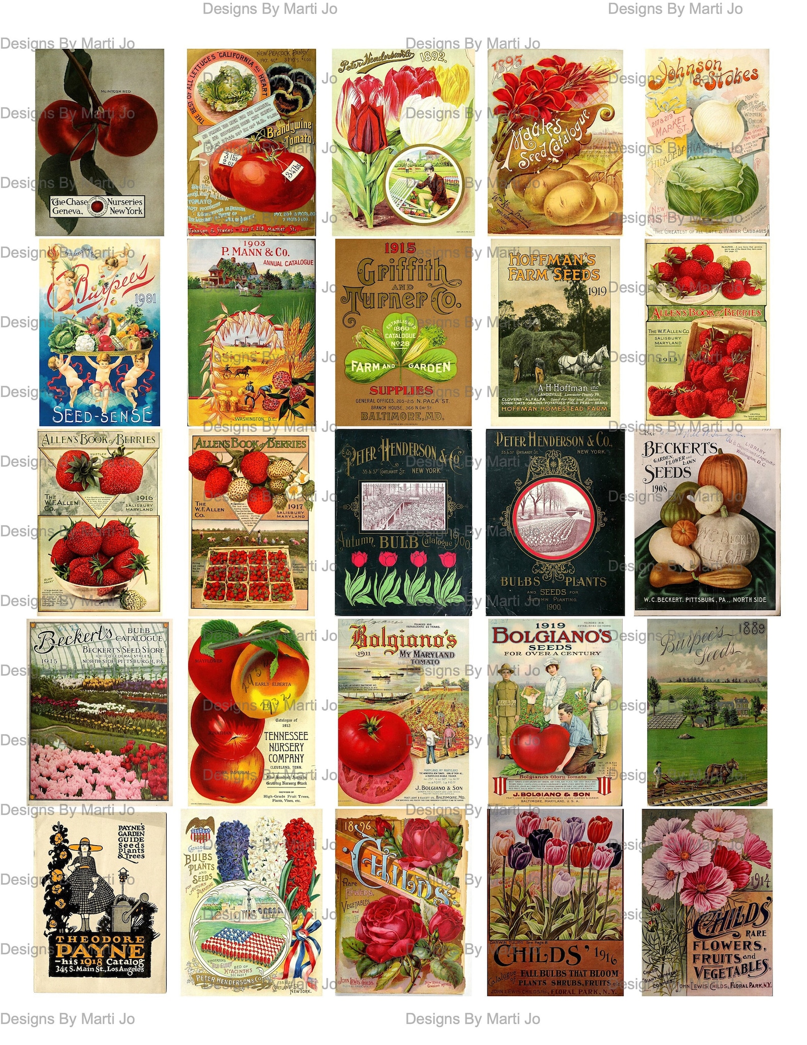 Vintage Seed Catalog Cover Set | 50 Covers on Two 8.5 X 11 JPG and PDF ...