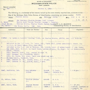 Vintage 1930's Criminal Police Report Sheets | 45 Criminal Rap Sheets ...