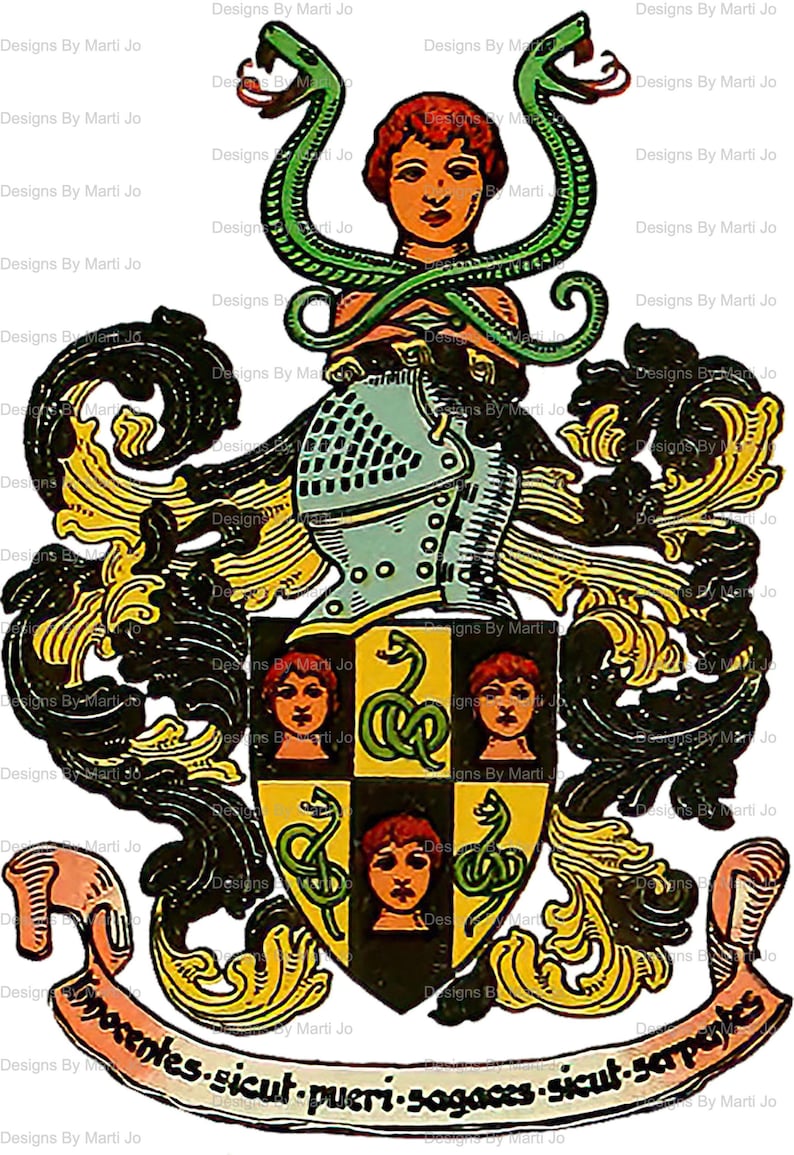 Vintage Medieval Heraldry PNG Clip Art | 25 Authentic Coat of Arms ...