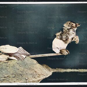 Colorized Vintage Cat Photos | 10 Printable Adorable Antique Cat Photos ...