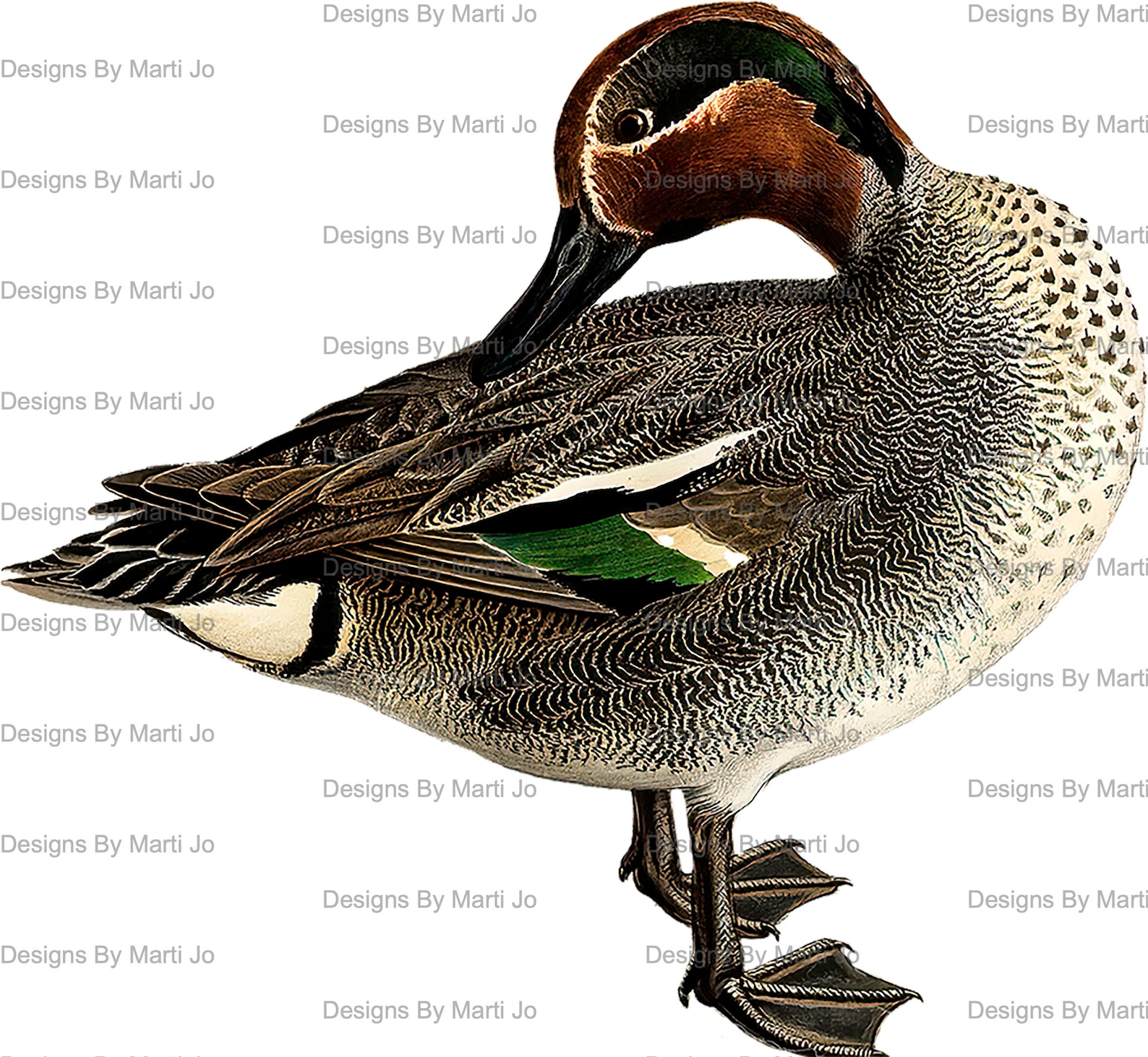 Vintage Fussy Cut Ducks 25 Printable Vintage Water Fowl PNG - Etsy