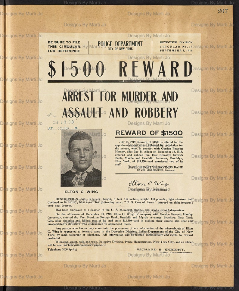 30 Police Crime Report Scrapbook Jpgs | 1919 Criminology Journal Paper ...