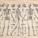 Vintage Anatomy Drawings | 21 Vintage Printable Anatomical Engravings ...