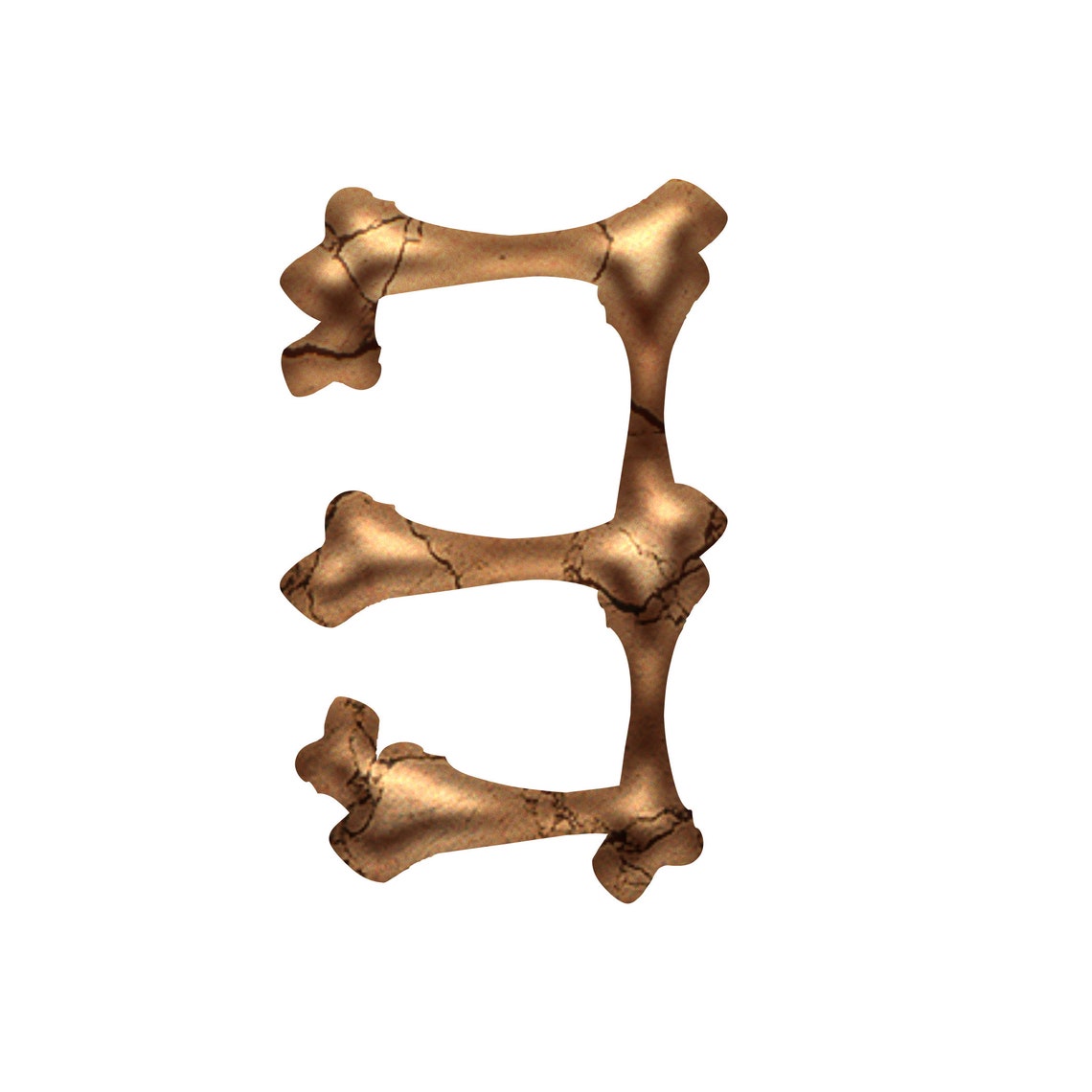 Bone Letters Digital Clipart Printable Bone Alphabet | Etsy