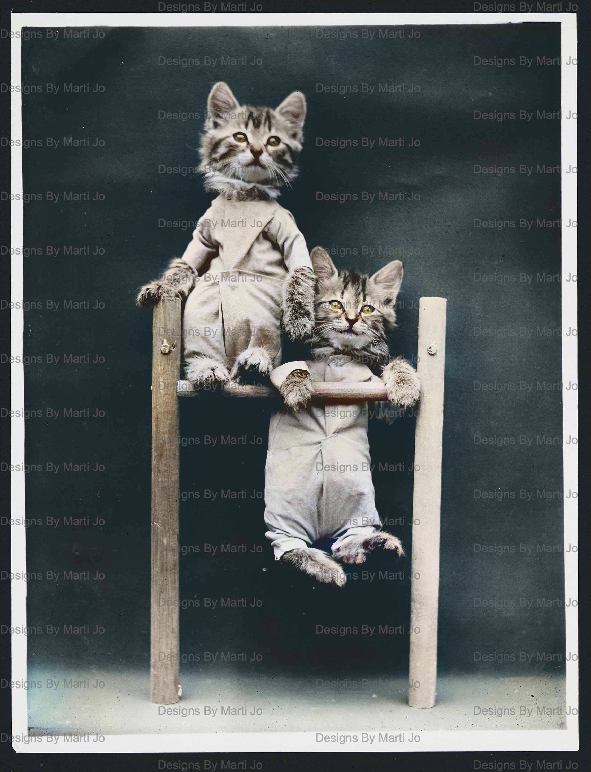 Colorized Vintage Cat Photos 10 Printable Adorable Antique | Etsy