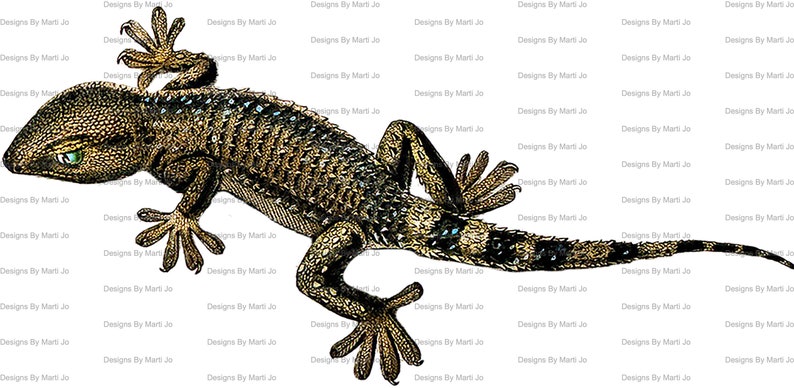 Vintage Digital Lizard Clipart 36 Printable Vintage Reptile - Etsy