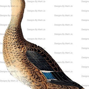 Vintage Fussy Cut Ducks | 25 Printable Vintage Water Fowl PNG Files ...