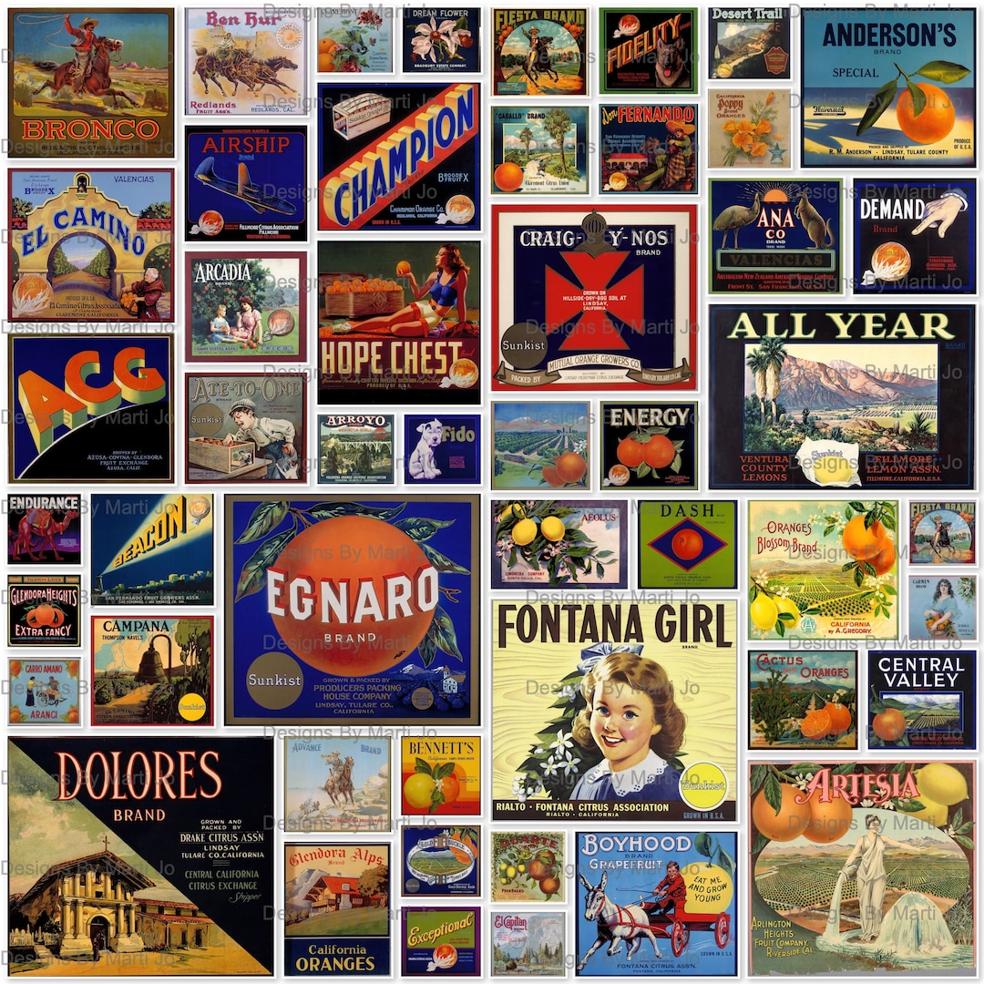 Old Citrus Crate Labels Kit 1 | 50 Printable Vintage Fruit Label Jpgs ...