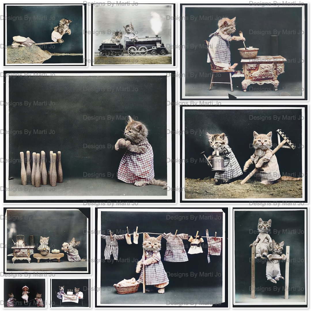 Colorized Vintage Cat Photos | 10 Printable Adorable Antique Cat Photos ...