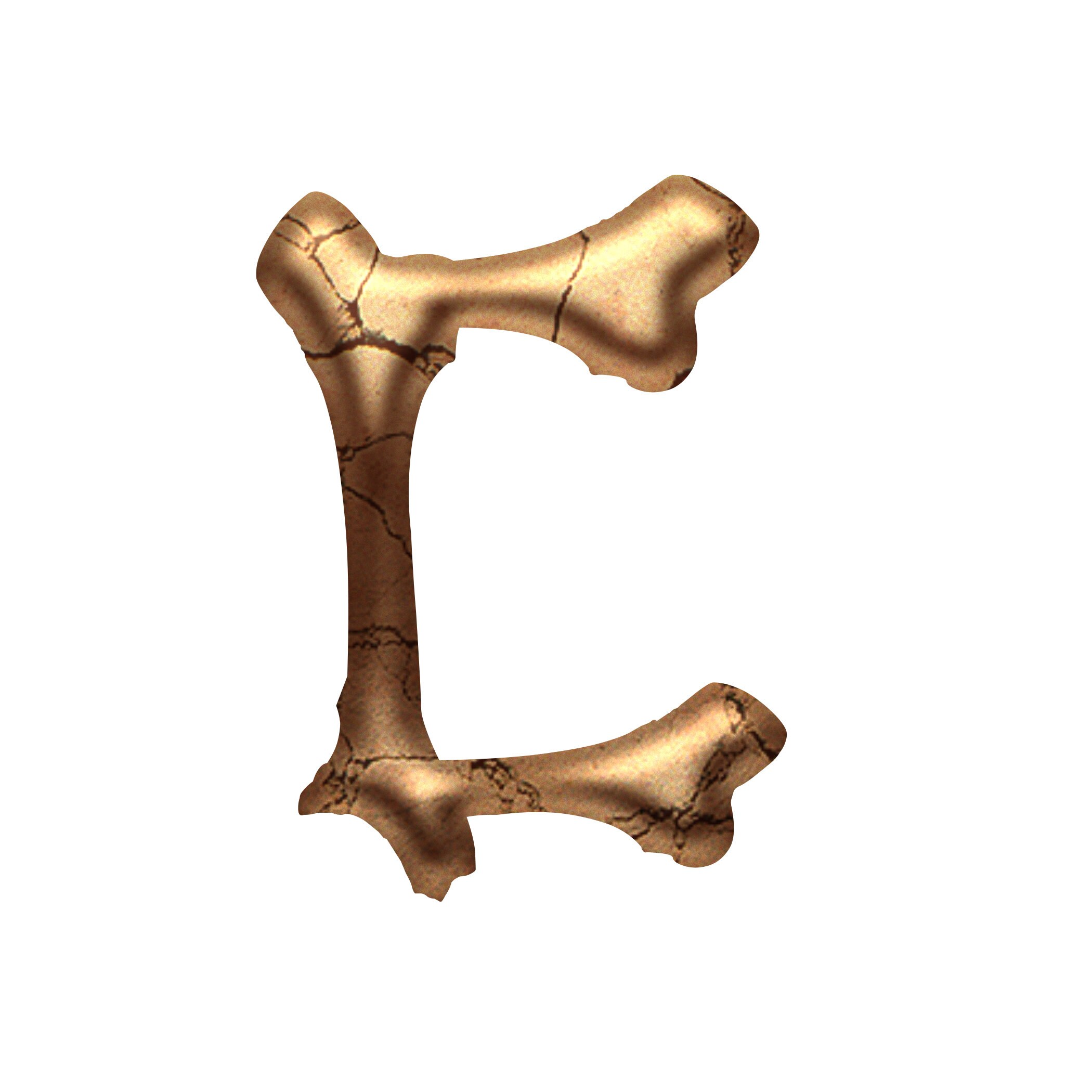 Bone Letters Digital Clipart Printable Bone Alphabet - Etsy Canada