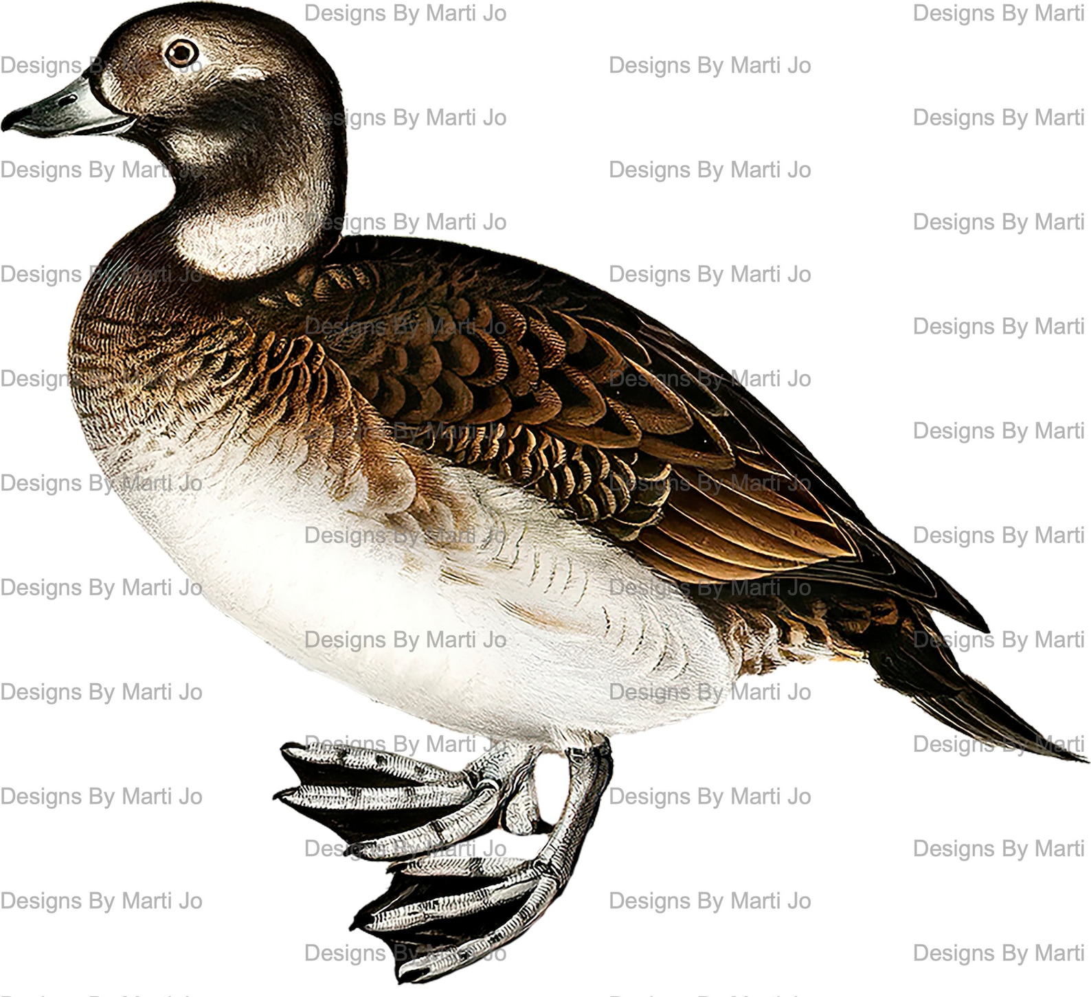 Vintage Fussy Cut Ducks 25 Printable Vintage Water Fowl PNG - Etsy