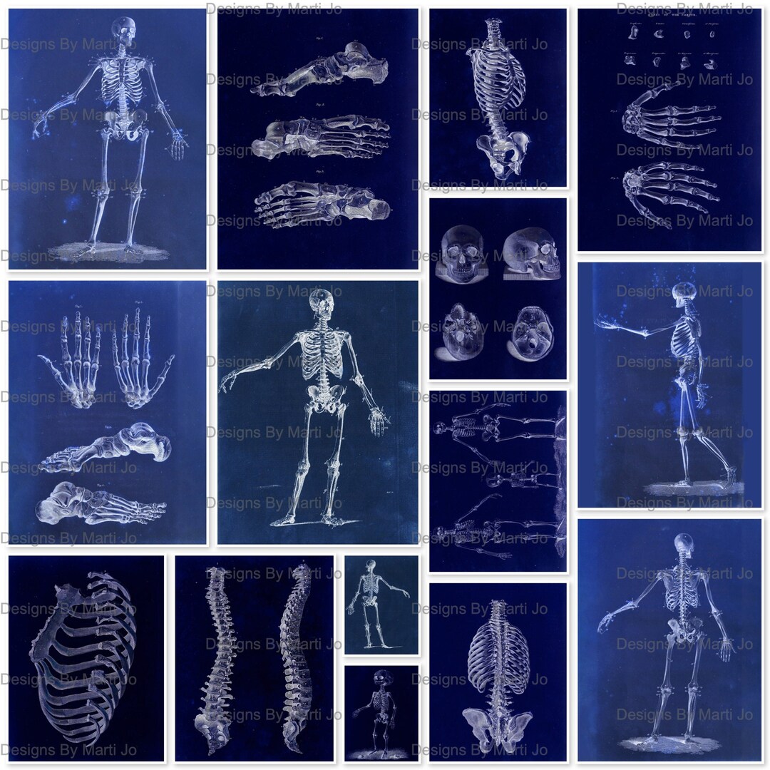 Vintage Anatomy Blueprint Drawings | 15 Vintage Printable Retro ...