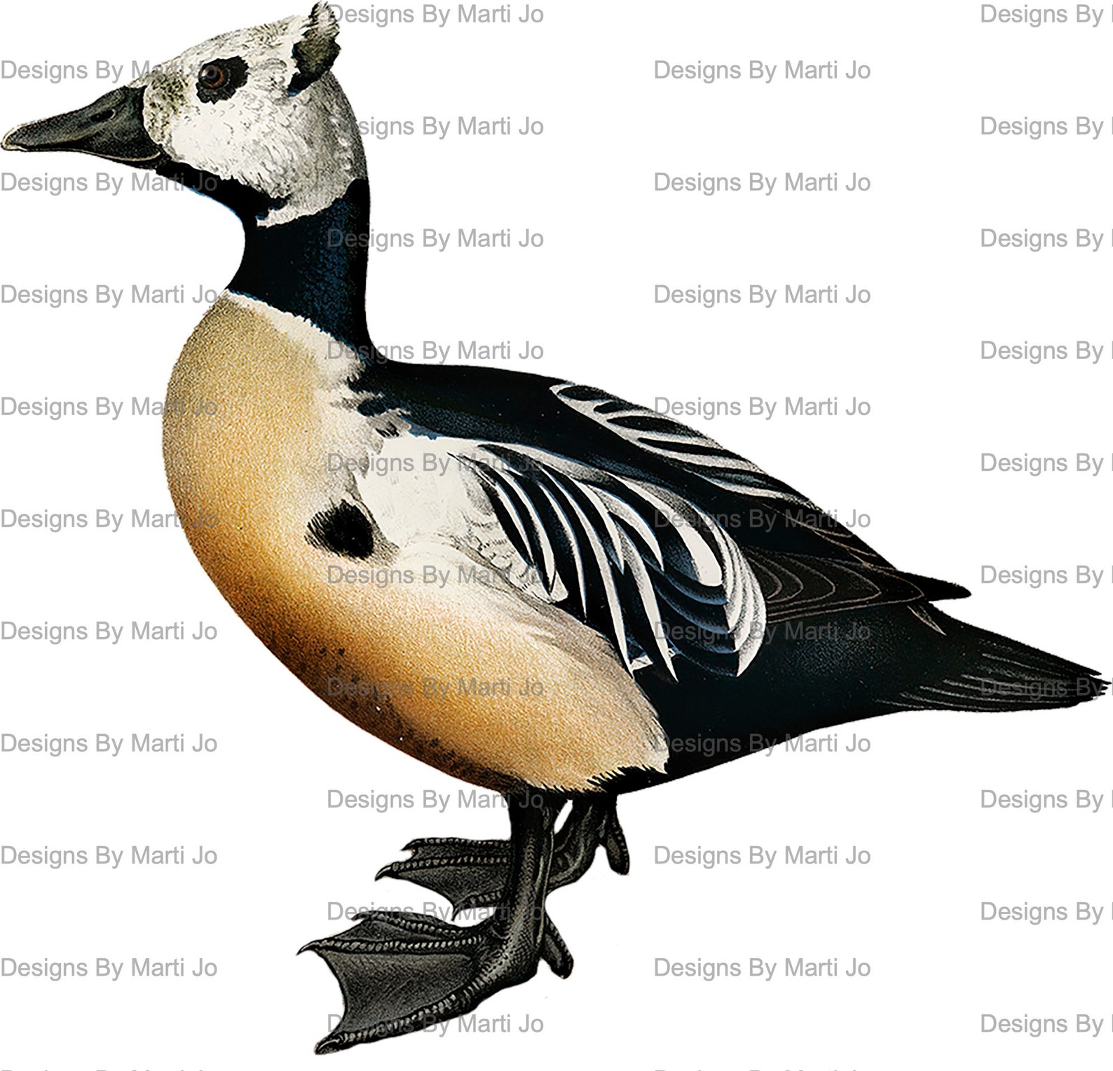 Vintage Fussy Cut Ducks 25 Printable Vintage Water Fowl PNG - Etsy