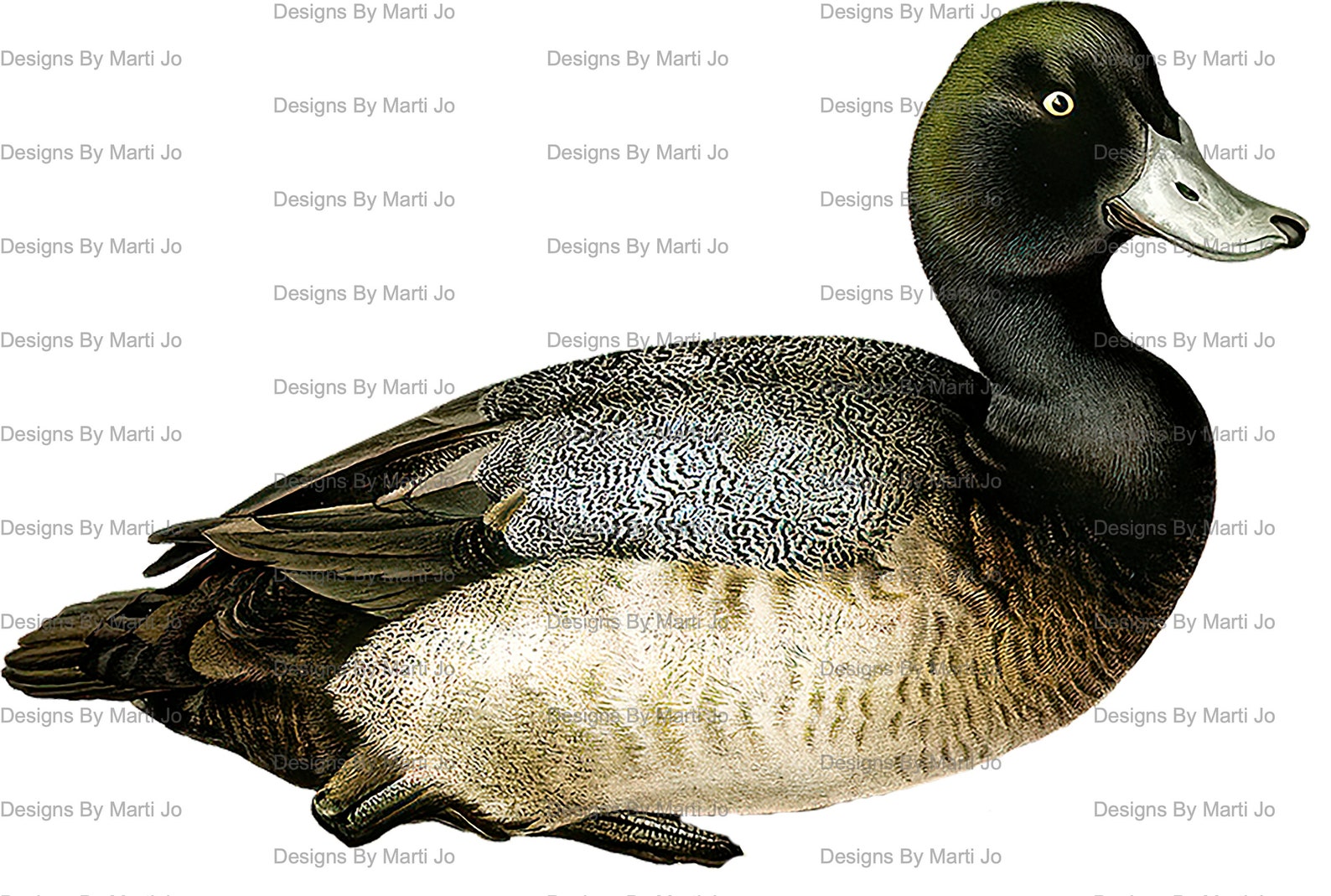 Vintage Fussy Cut Ducks 25 Printable Vintage Water Fowl PNG - Etsy