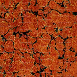 35 Vintage Printable Book Endpapers JPG Pages Set 3 | Budget Decorative ...