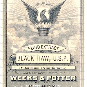 Vintage Old Medicine Labels Kit 3 | 50 Printable Vintage Apothecary ...