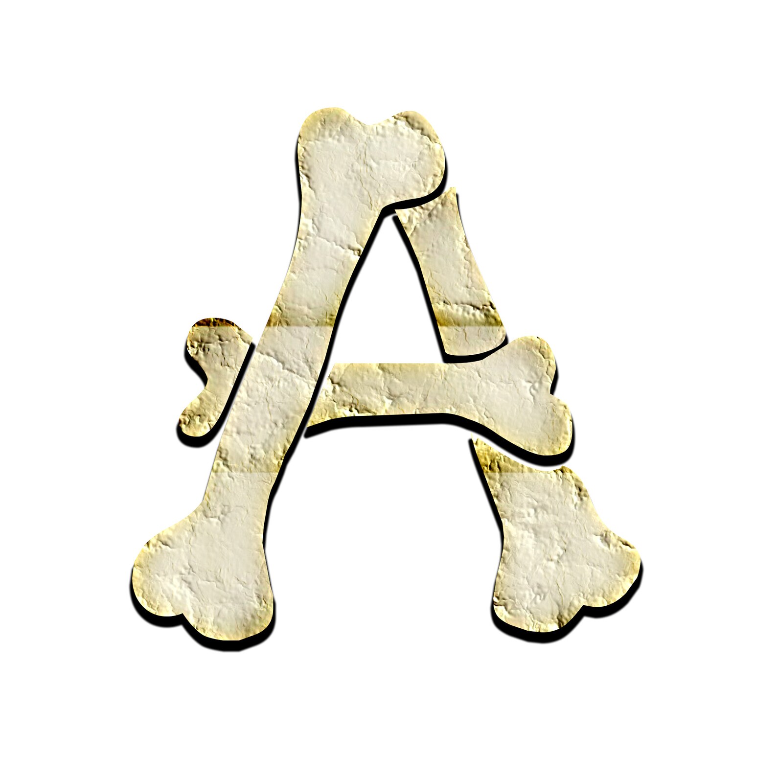 Bone Letters PNG Clipart Printable Bone Alphabet Instant Download ...