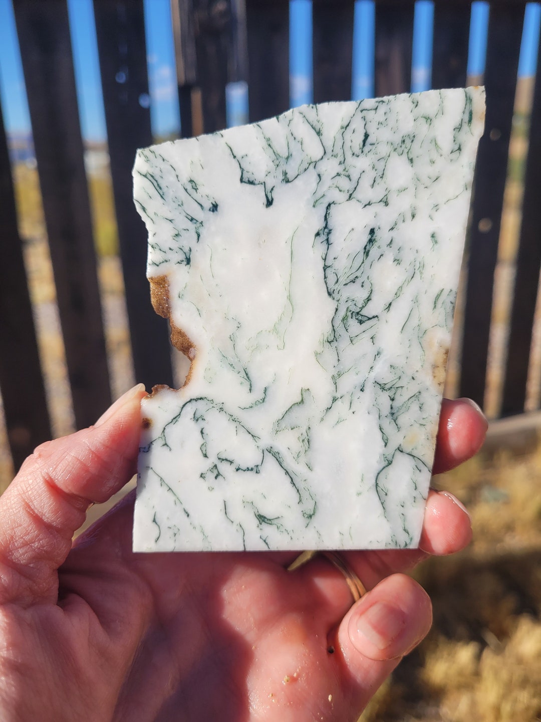 Tree Agate Slab - Etsy