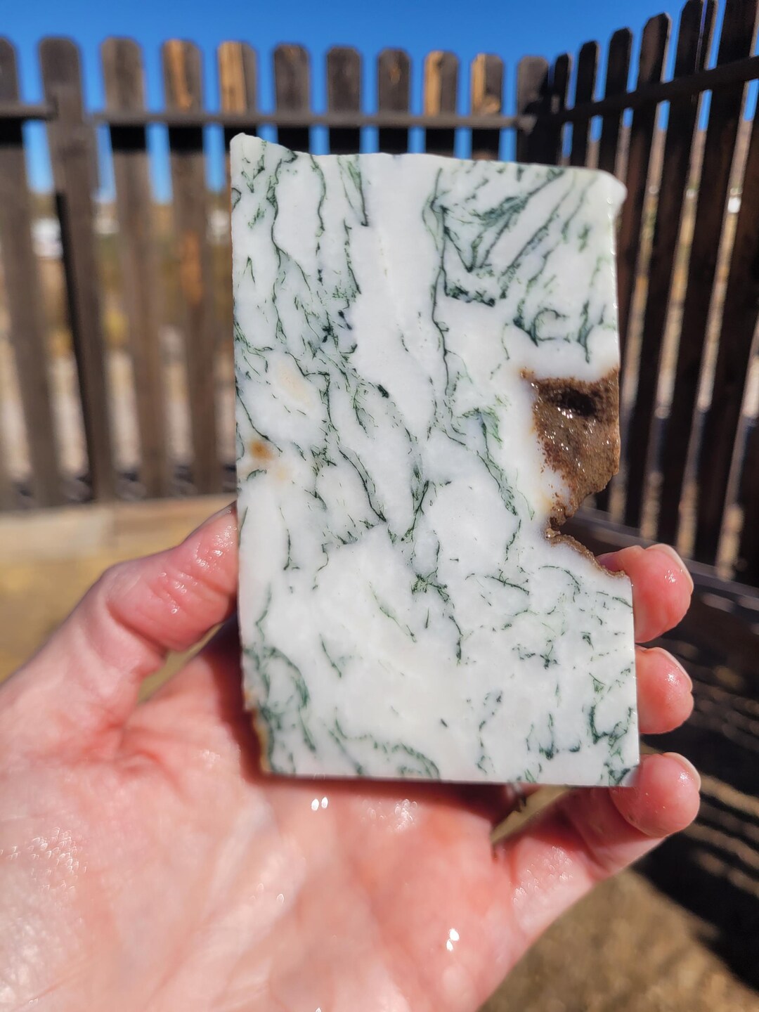 Tree Agate Slab - Etsy