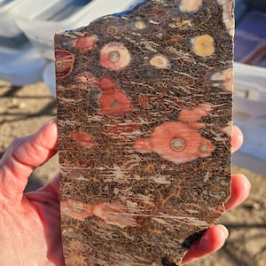 Galaxy Ryolite Slab - Etsy