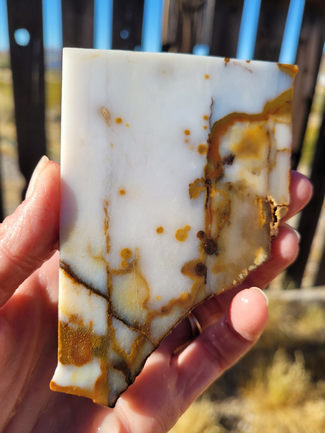 Polka Dot Agate Slab From PDA Mine in Central Oregon - Etsy