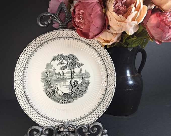 Antique Real Ironstone China Dinner Plate, Wm Adam and Sons, Minuet ...