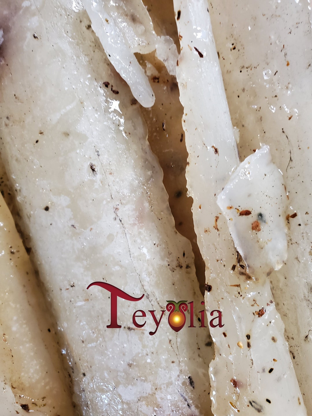 Authentic Copal Blanco From Sustainable Trees-pure -white Copal Tree ...