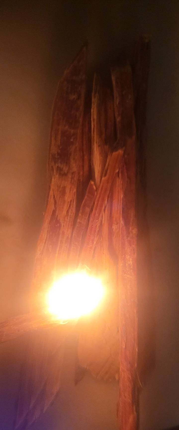 Ocote~ Pine Stick ~ Fresh Prime Quality Natural Fire Starter Wood~from ...