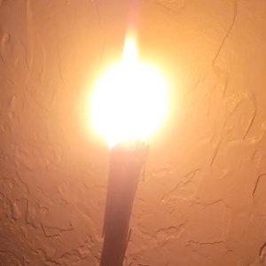 Ocote~ Pine Stick ~ Fresh Prime Quality Natural Fire Starter Wood~from ...