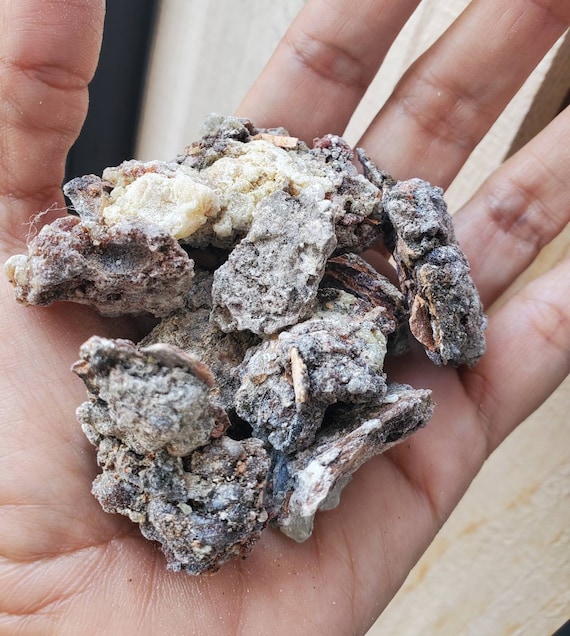 Authentic Copal Negro From Mexico Black Copal Ceremonial - Etsy