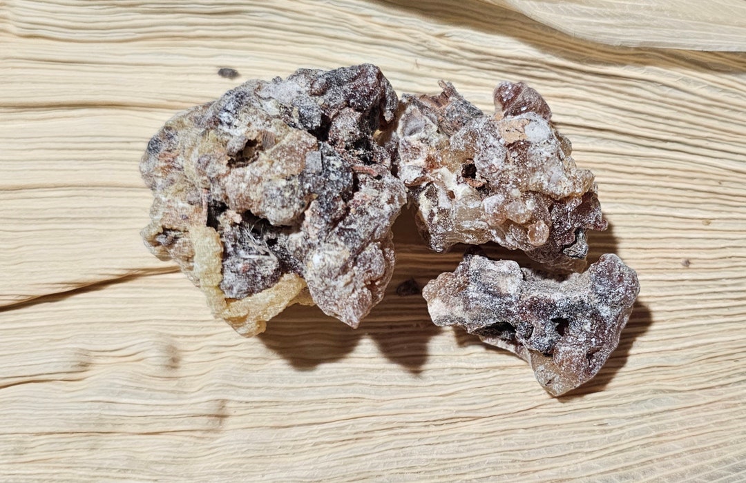 Wild Harvest Copal-pure~copal Silvestre ~ancestral Tradition - 1 Oz - Etsy