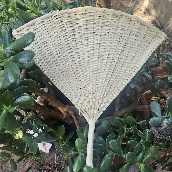 Palm Leaf Hand Fans - Etsy