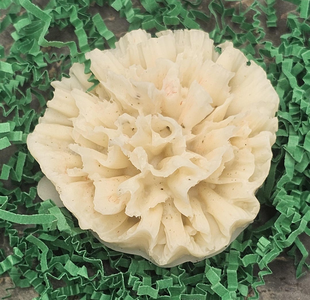 Mini White Copal Carnation Flower Soap With Carnation Scent~ Ancestral ...