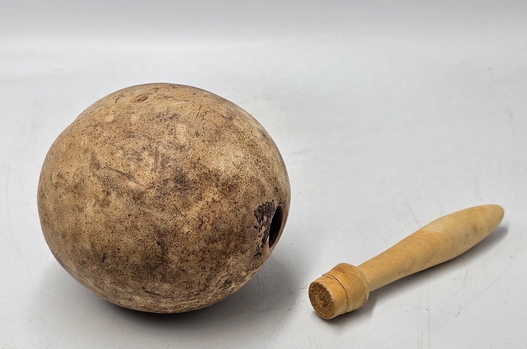 Ayacaxtli Unassembled Plain Ceremonial Gourd Rattle Sweatlodge Rattle ...