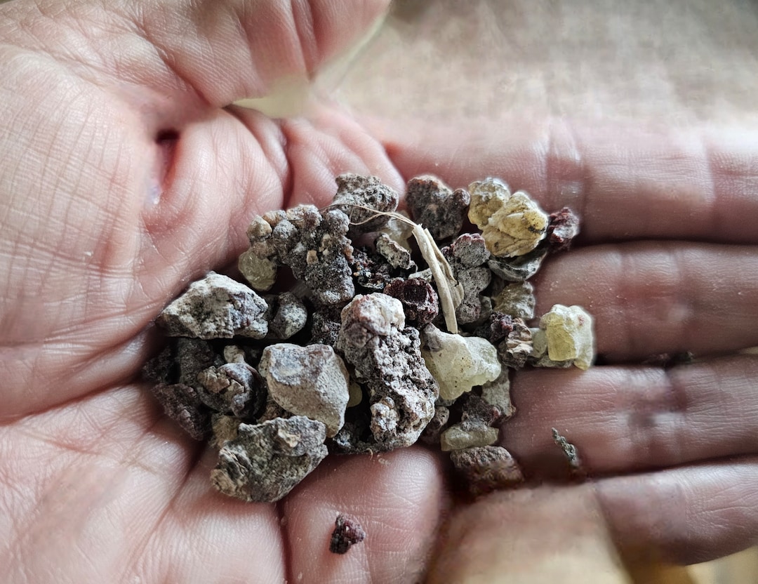 Fresh Copal Mix Ready to Use Small Pieces wild Harvest-pure Copal En ...