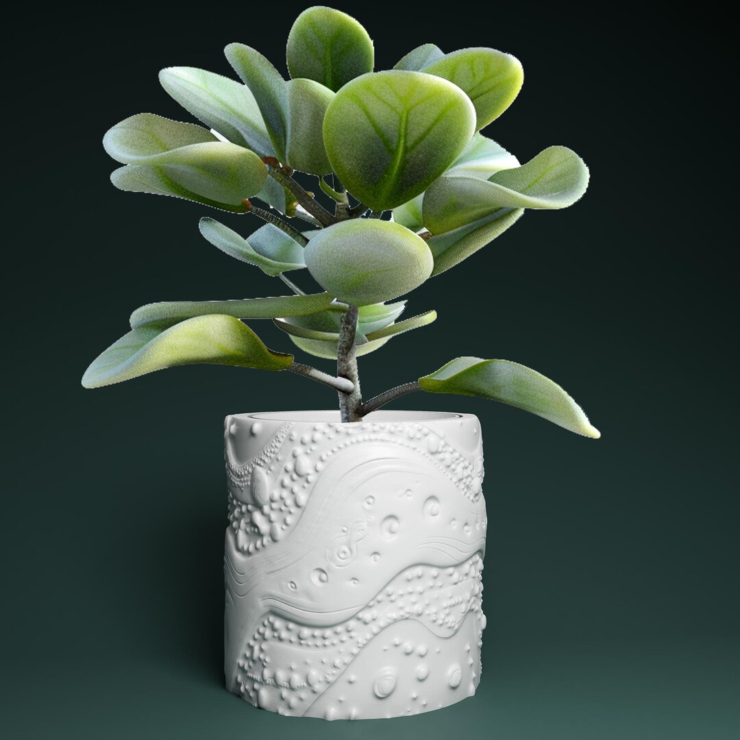 Cosmic Plant Pot With Drainage 3D Printer STL File: Instant Download ...