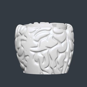 Brain Plant Pot STL File: Funny 3D Printable Planter Digital Download ...