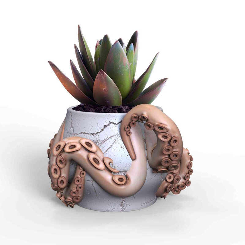 Octopus Planter - Etsy